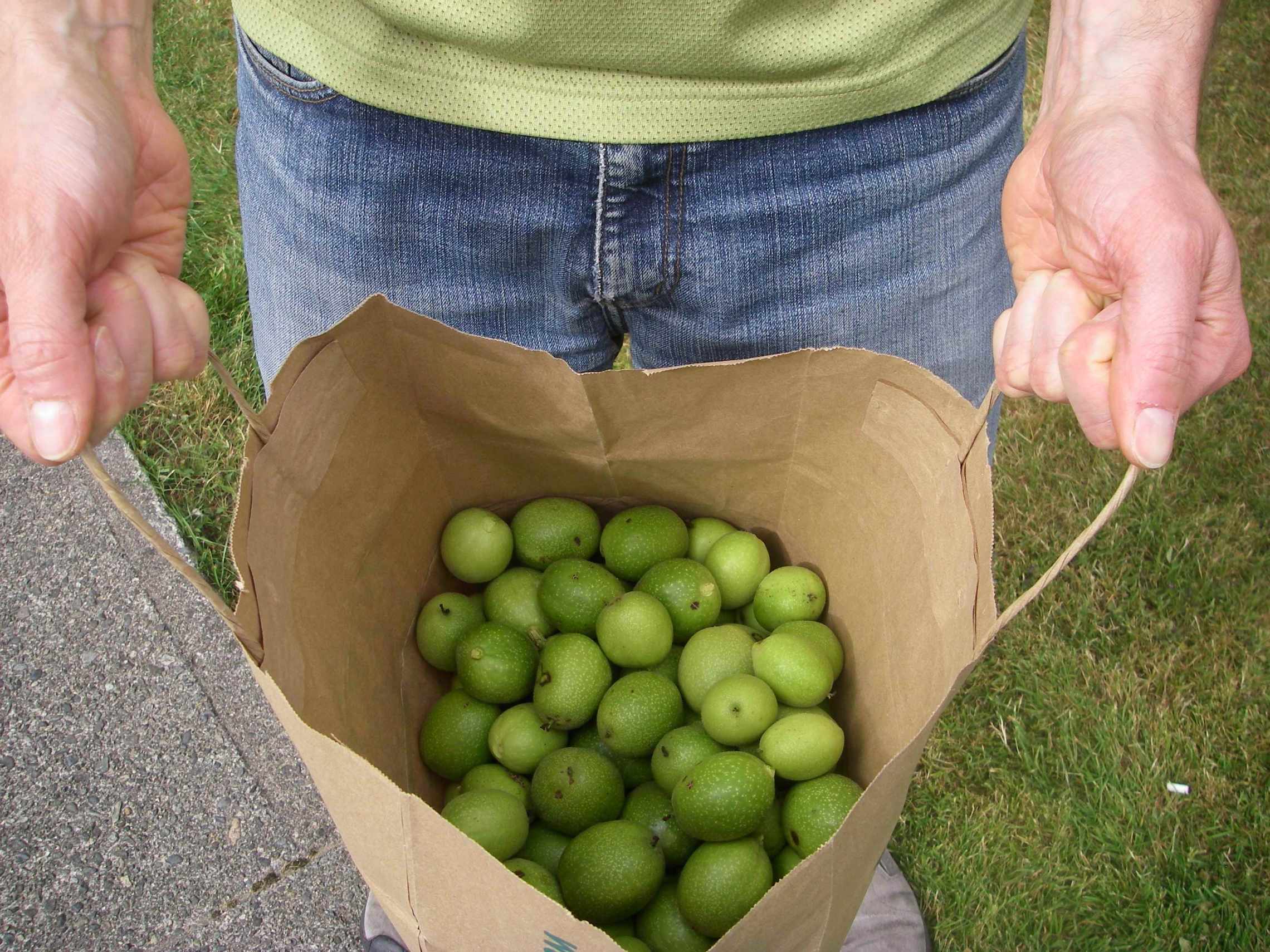 nut sack – Urban Huntress